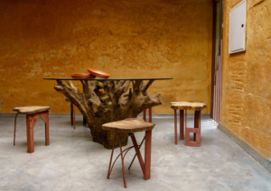 Chirath Residence in Kerala Blends Seamlessly with Nature