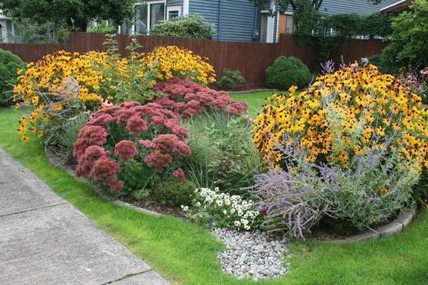 How to Improve Yard Drainage: 7 Effective Solutions to Try