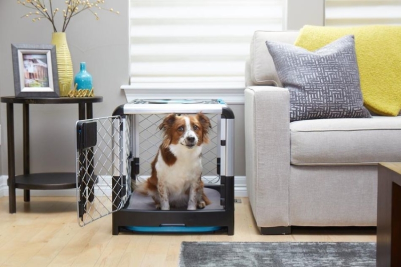 Diggs' Revol Dog Crate Folds Flat for Easy Storage and Transportation