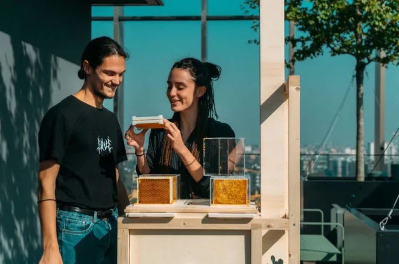 B-box hive by Beeing is Designed for Beekeeping in Small Apartments