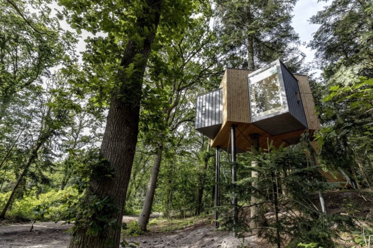 Løvtag Treetop Cabins Near Mariager Fjord in Denmark