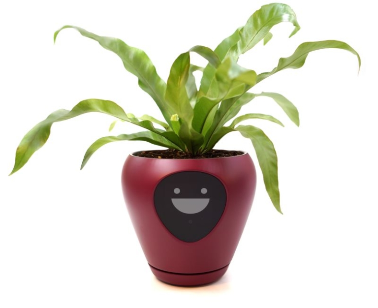 Lua Smart Planter Indicates its Requirements Through Animated Emotions