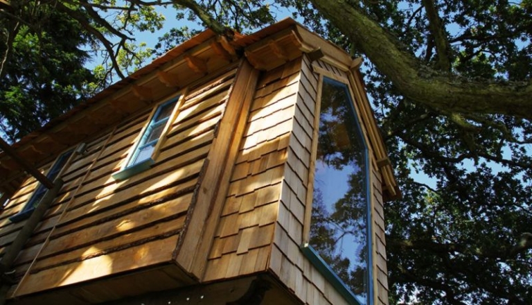 Blue Forest Builds Treehouse for Kids in Perthshire, UK with a Slide ...