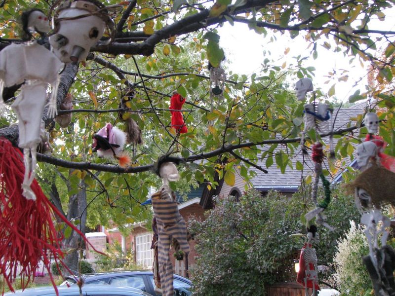 13 Outdoor Tree Decoration Ideas for Halloween