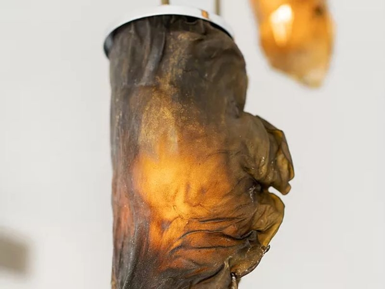 Algae Lamps are Beautifully Molded Sculptures with Natural Shades