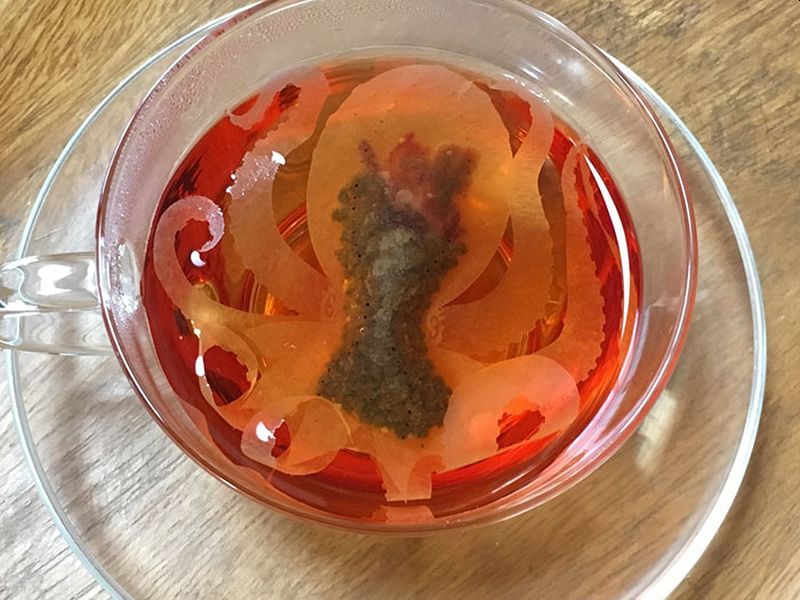 Ocean Teabag Brings Marine Life and Delicious Flavors to Your Teapot