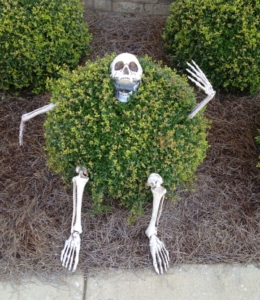 70+ Skeleton Halloween Decoration Ideas for Outdoors