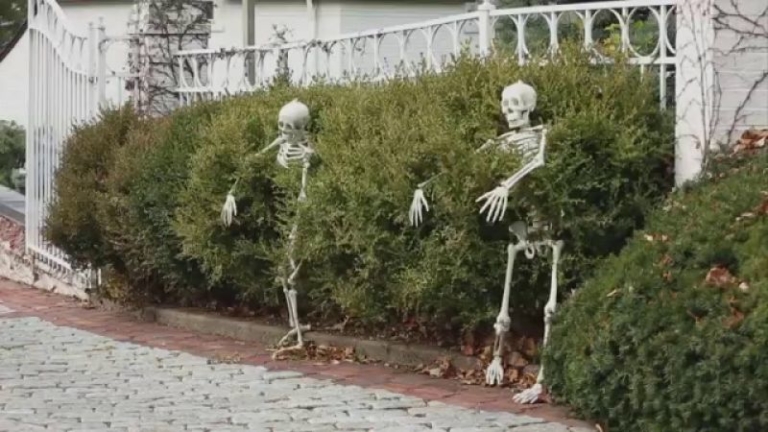 70+ Skeleton Halloween Decoration Ideas for Outdoors