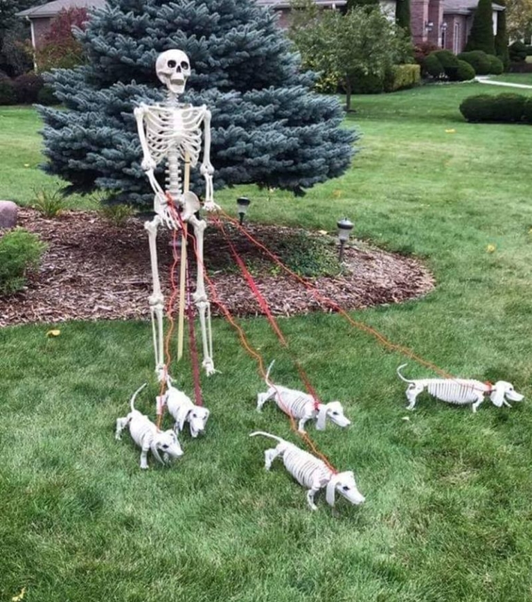50+ Skeleton Halloween Decoration Ideas for Outdoors