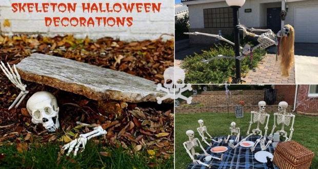 50+ Skeleton Halloween Decoration Ideas for Outdoors