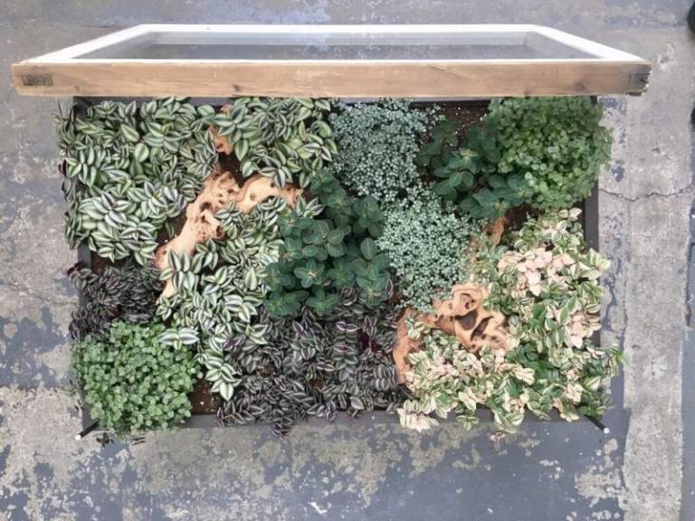 Hackney Botanical Terrarium Tables with Sash-Windows as Table Tops