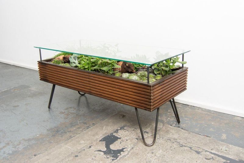 Hackney Botanical Terrarium Tables with Sash-Windows as Table Tops