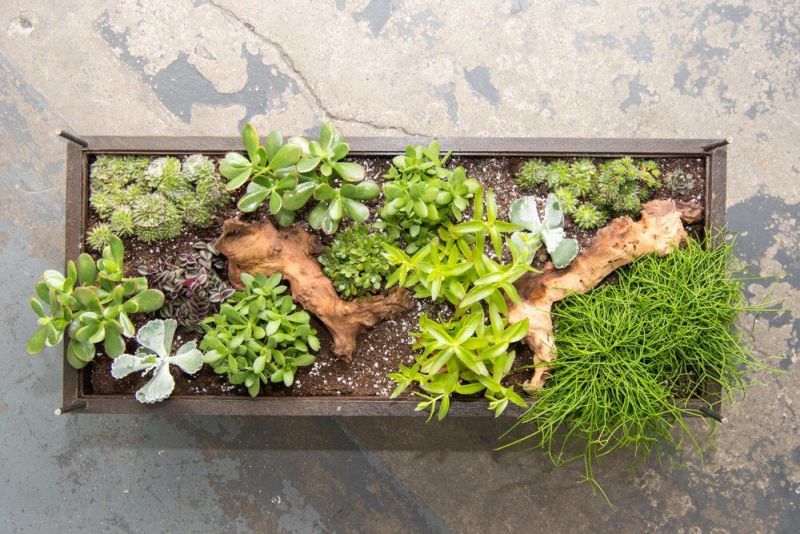 Hackney Botanical Terrarium Tables with Sash-Windows as Table Tops