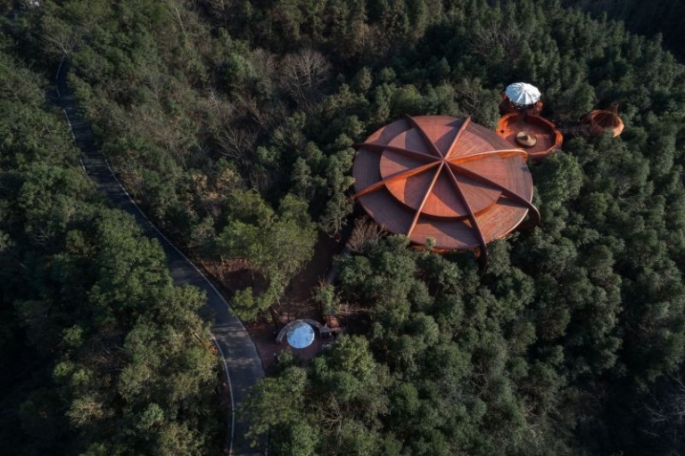 UFO-Inspired ZYJ Treehouse Invokes Sense of Science Fiction