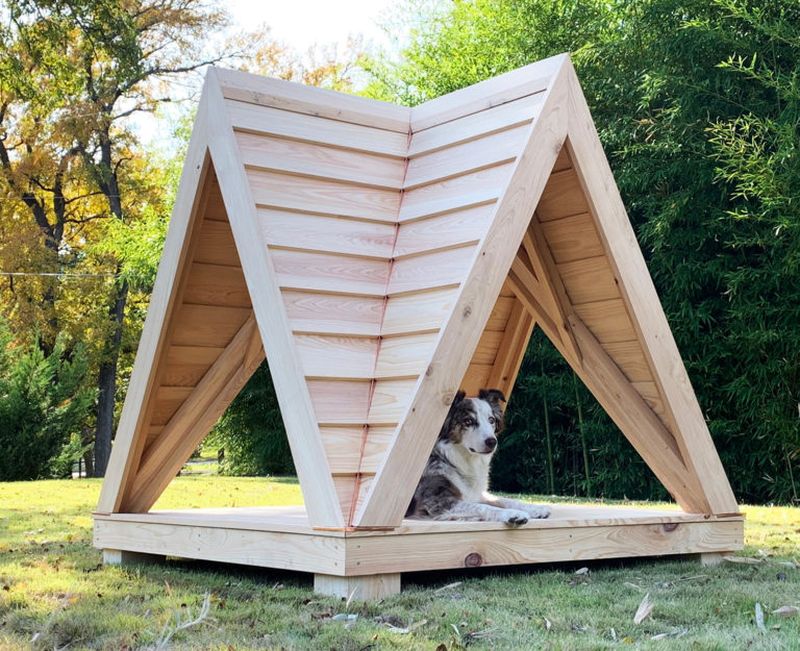 Best Doghouses and Cat Condo from Bark+Build Competition 2019
