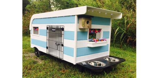 Canine Campers let Your Dog Laze Around in RV Comfort