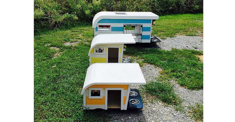 Canine Campers let Your Dog Laze Around in RV Comfort