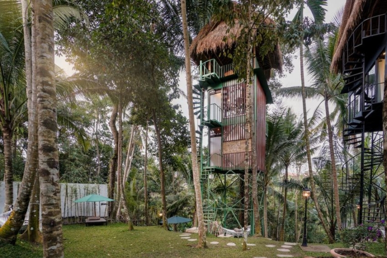 Unwind at Lift Bali, Treehouse Hotel You can Rent for $60 on Airbnb