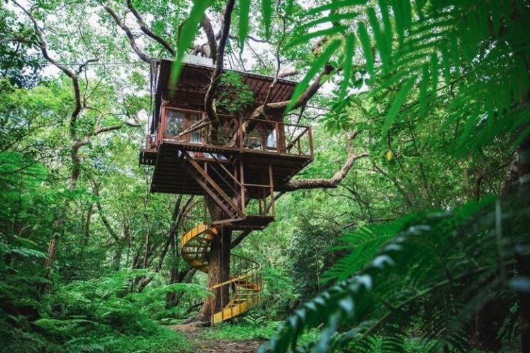 30+ Best Treehouse Hotels and Rentals in the World
