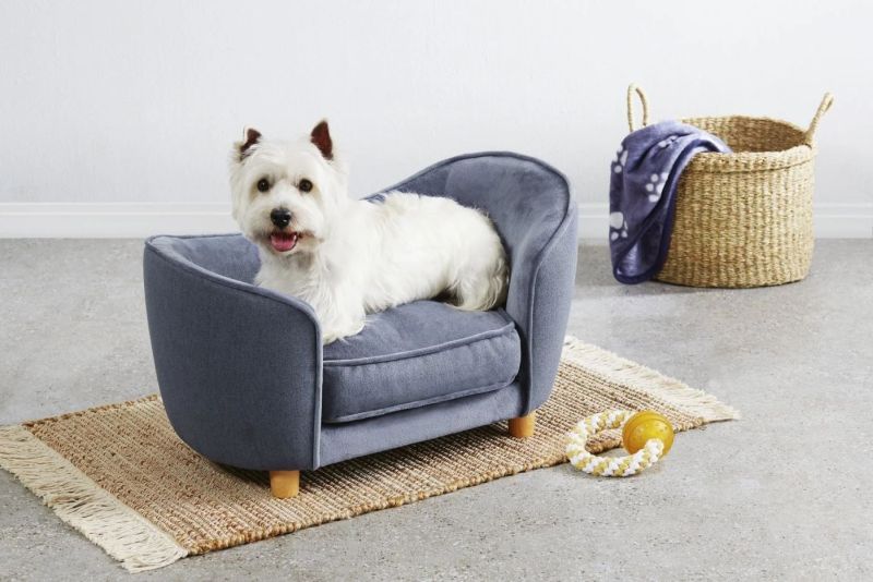 Aldi s Famous Pet Sofa Beds Will Be Available After 21 March Aldi s Famous Pet Sofa Beds Will Be Available After 21 March