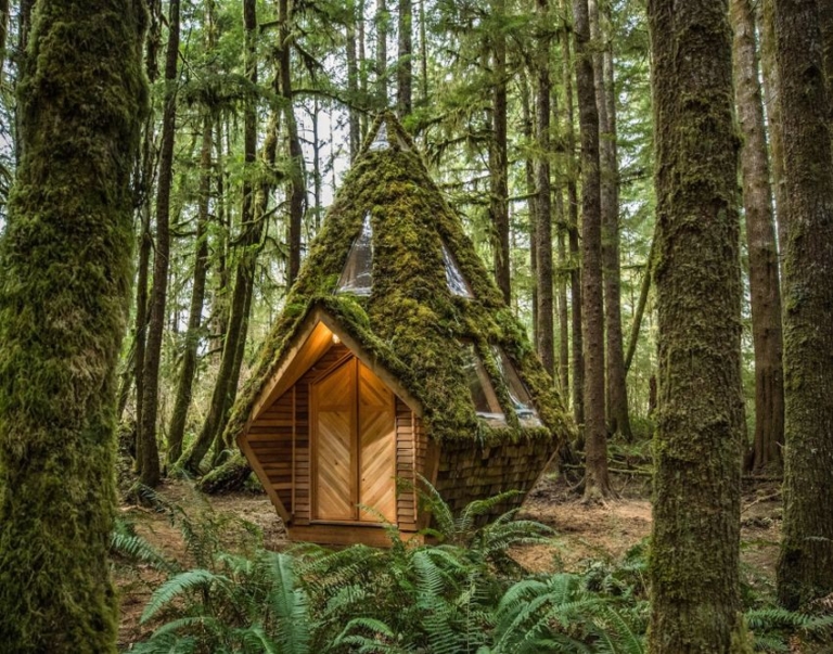 Diamond Cabin by Jacob Witzling & Sara Underwood of Cabinland