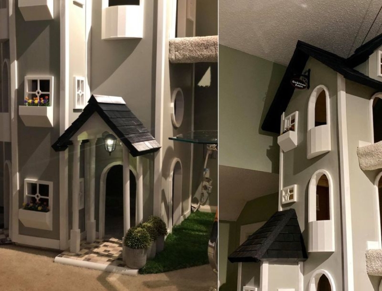 Man Builds High-Rise Towers for His Cat, Goes Viral on Social Media