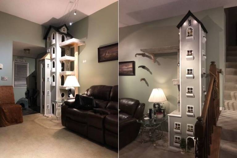 Man Builds High-Rise Towers for His Cat, Goes Viral on Social Media
