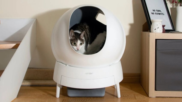 Aimicat: Self-Cleaning Kitty Litter Box with Ultimate Hygiene Features