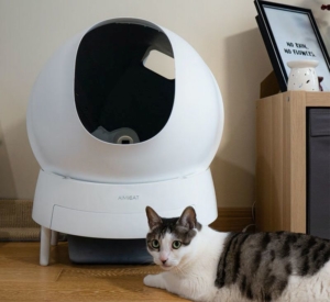 Aimicat: Self-Cleaning Kitty Litter Box with Ultimate Hygiene Features