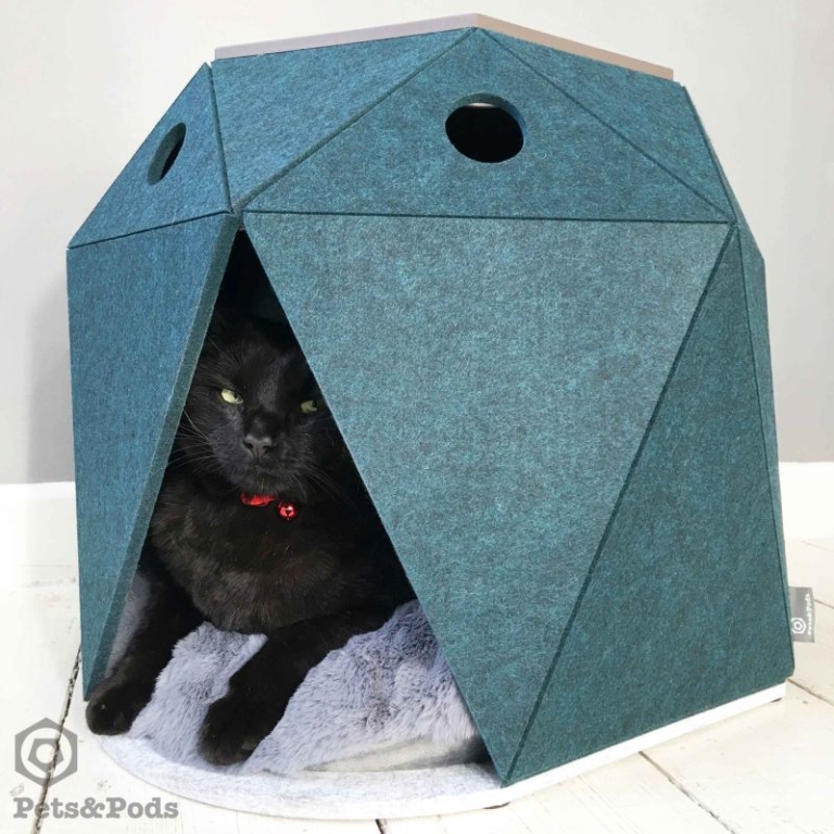 Pet and Pods Makes Lovable Pet Furniture Using Recycled Materials