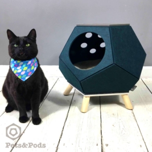 Pet and Pods Makes Lovable Pet Furniture Using Recycled Materials