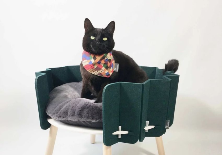 Pet and Pods Makes Lovable Pet Furniture Using Recycled Materials