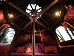 Ynys Affalon Treehouse Pod in Wales Lets You Disconnect From Routine