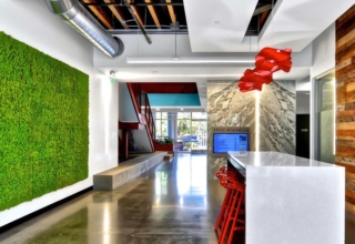 Benetti Home Provides Low-Maintenance, Lasting Vertical Moss Gardens