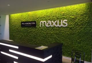 Benetti Home Provides Low-Maintenance, Lasting Vertical Moss Gardens