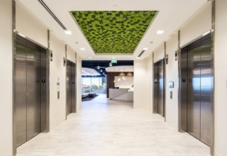 Benetti Home Provides Low-Maintenance, Lasting Vertical Moss Gardens