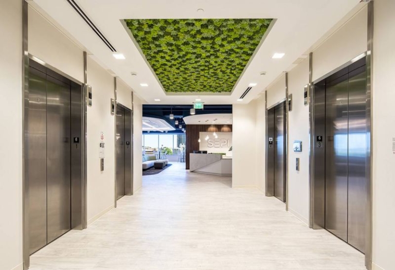 Benetti Home Provides Low-Maintenance, Lasting Vertical Moss Gardens