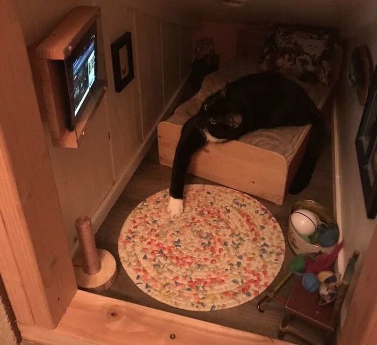 Man Turns Empty Space at Home Into Stunning Cat Bedroom With TV