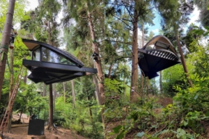Blackbird Treehouse Seattle Hangs 25ft off the Ground, Accessible via Lift