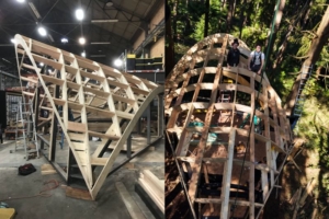 Blackbird Treehouse Seattle Hangs 25ft off the Ground, Accessible via Lift