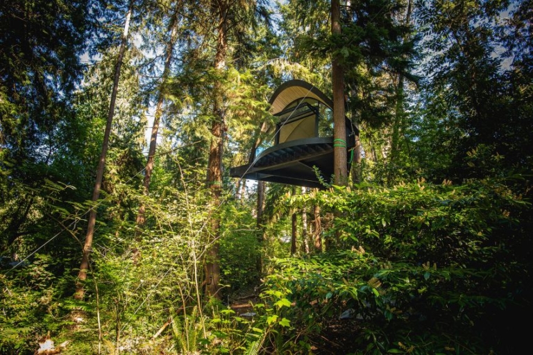 Blackbird Treehouse Seattle Hangs 25ft off the Ground, Accessible via Lift