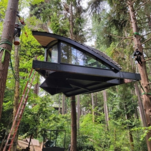 Blackbird Treehouse Seattle Hangs 25ft off the Ground, Accessible via Lift