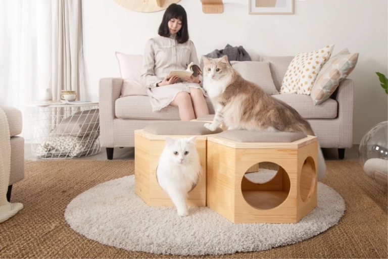 MYZOO Studio Introduces Cat Chair That Keeps Your Feline Buzzing