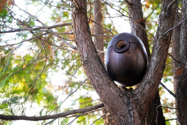 40 Beautiful Birdhouse Designs for Feathered Friends