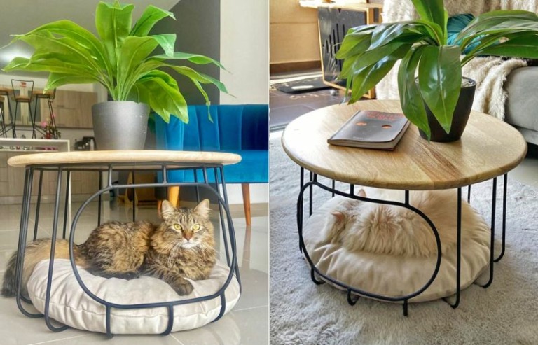 This Coffee Table With Oak Top has a Cozy Cat Bed in its Base