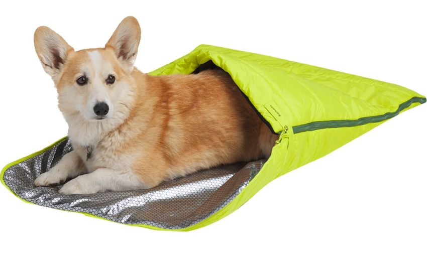 Pet Sleeping Bag Is Designed To Keep Your Dog Warm In Dipping Temp Pet Sleeping Bag Is Designed To Keep Your Dog Warm In Dipping Temp