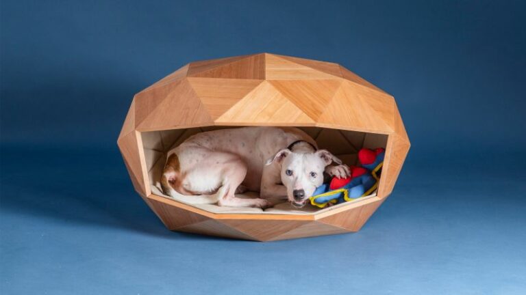 15 Architectural Doghouses That'll Put Your Home to Shame