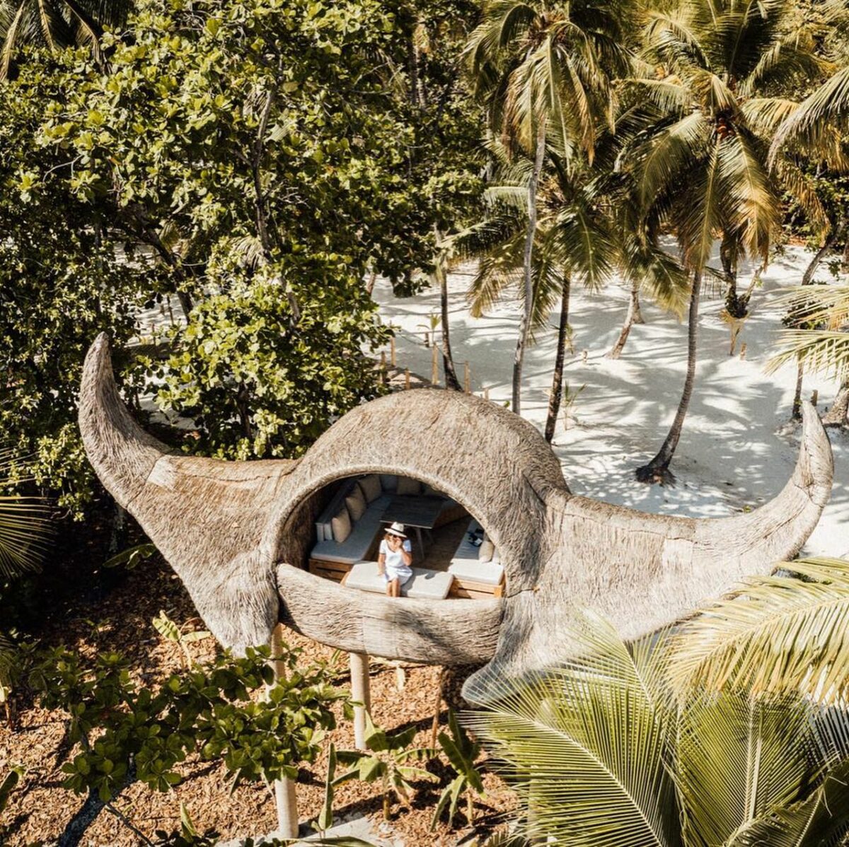 This Treehouse in Maldives Mimics the Shape of a Manta Ray