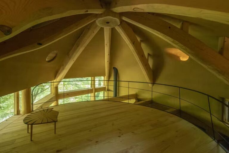 This Curvaceous Passive House in Japan is Made of Wood and Clay