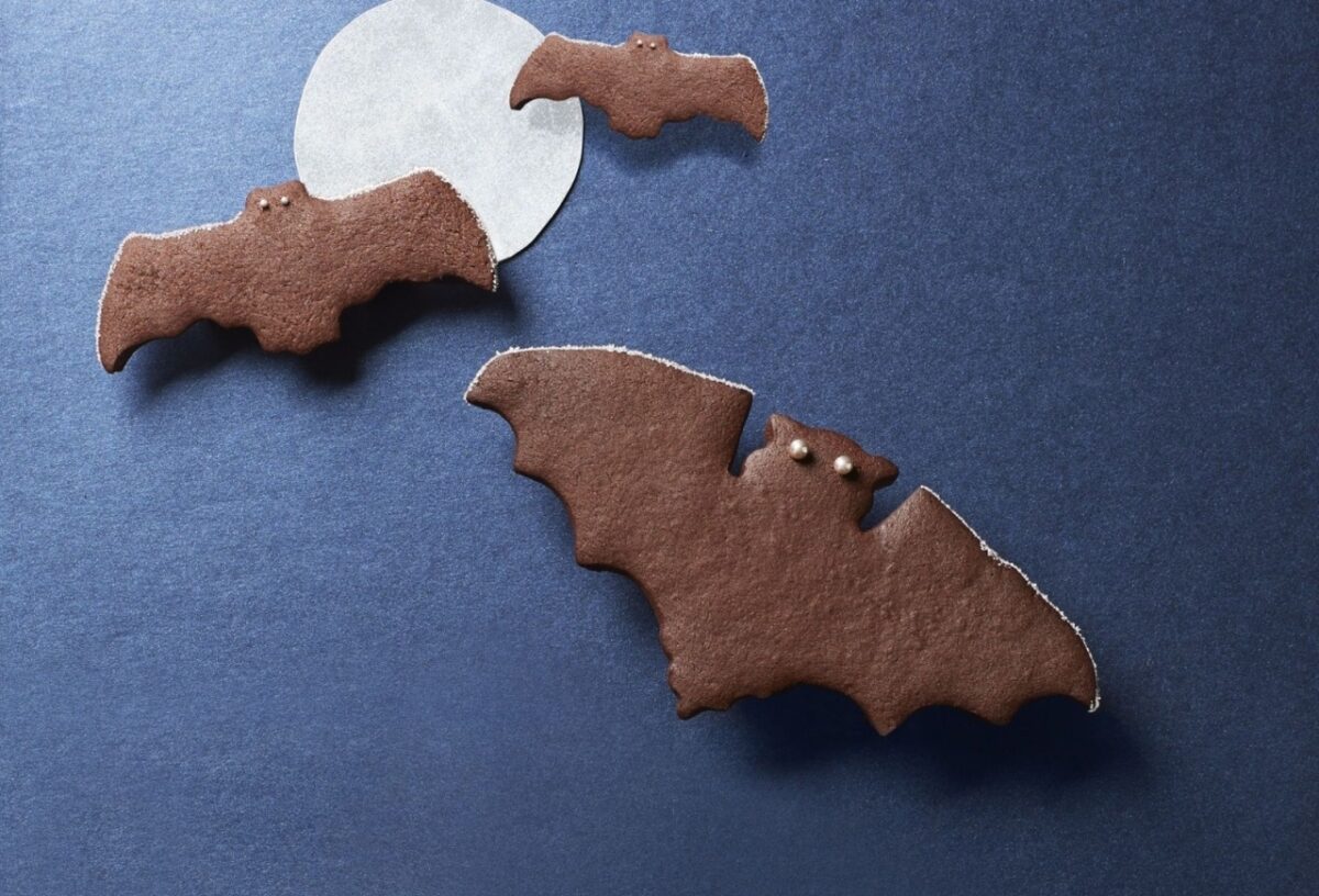 20+ Best Homemade Halloween Cookies to Try This Year